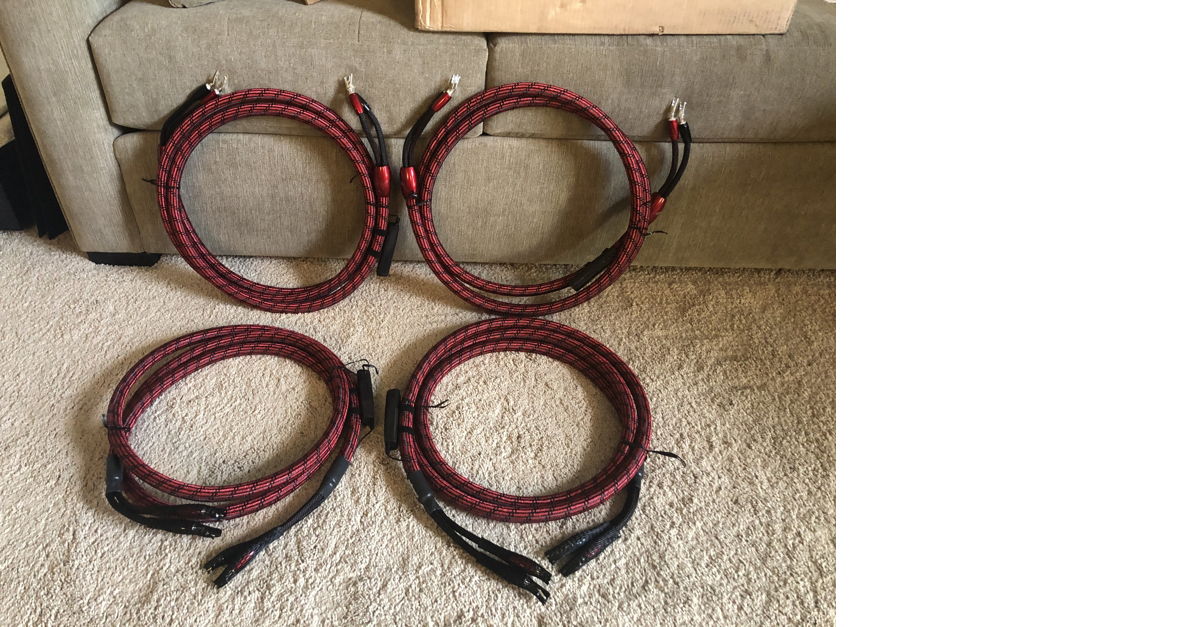 AudioQuest Volcano 10ft Single Wire Speake... For Sale | Audiogon