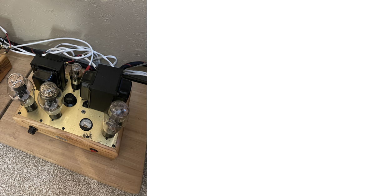 Tektron Reference 300B Mono Blocs 300B Ref For Sale | Audiogon