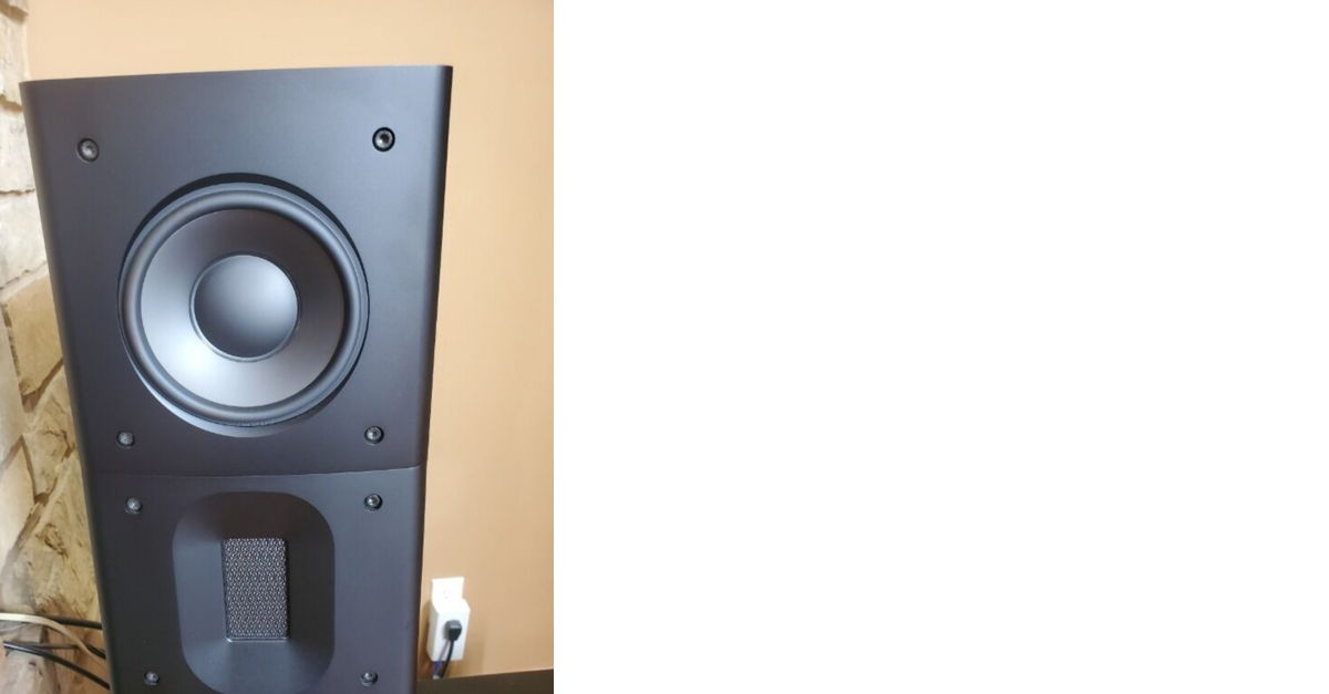 Raidho D 3.1 Speakers For Sale | Audiogon