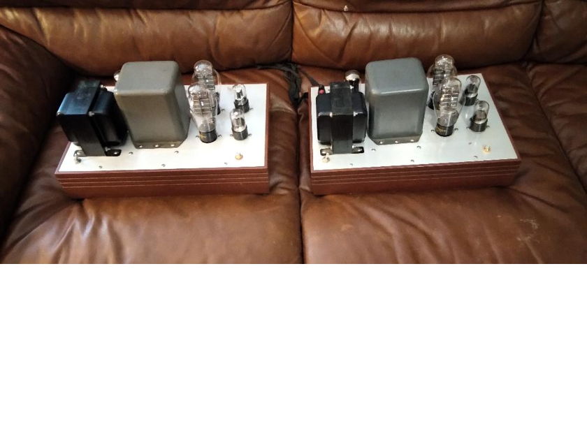 Deja Vu Audio 300B push-pull monoblock For Sale | Audiogon