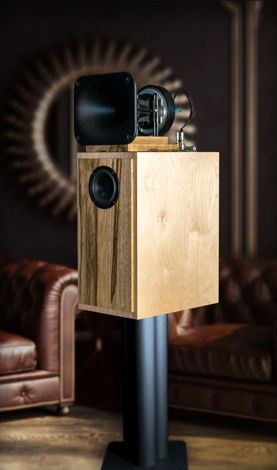 Shinjitsu Audio SUPER HIRO Speakers (PAIR) For Sale | Audiogon