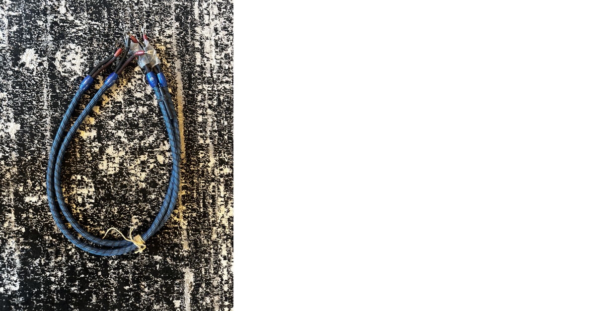 AudioQuest Everest Speaker Cable 6 ft For Sale | Audiogon