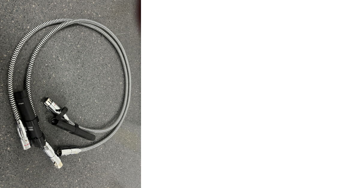 AudioQuest Cheetah DBS 1M XLR For Sale | Audiogon
