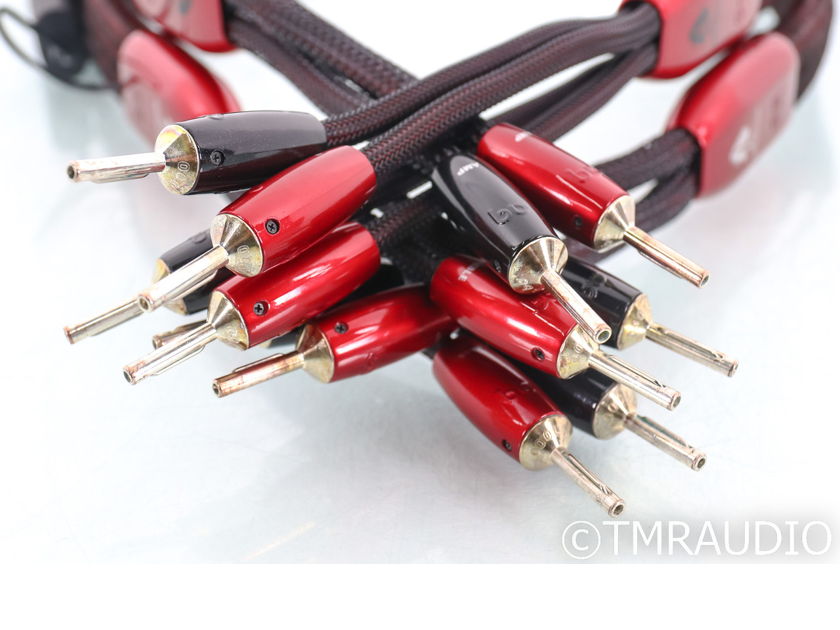 AudioQuest Redwood Bi-Wire Speaker Cables; 3ft Pair; 72v DBS (45481 ...