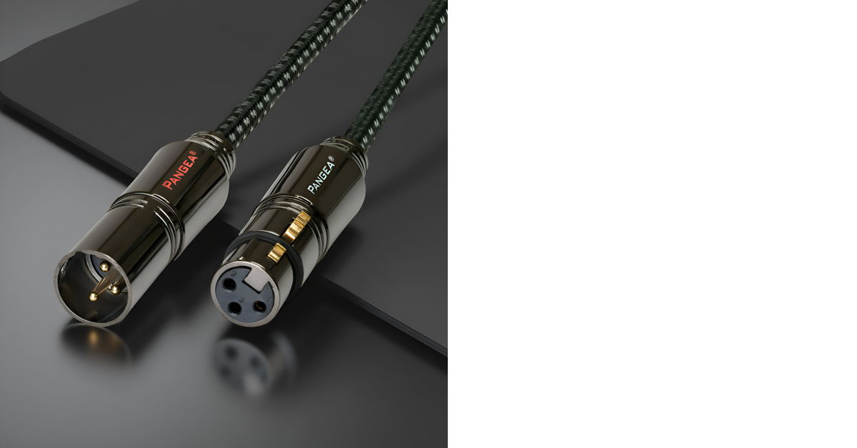 PANGEA AUDIO PREMIER XL TRUE BALANCED INTE... For Sale | Audiogon