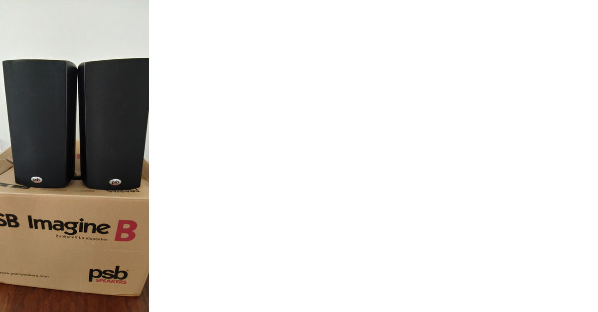 PSB Imagine B For Sale | Audiogon