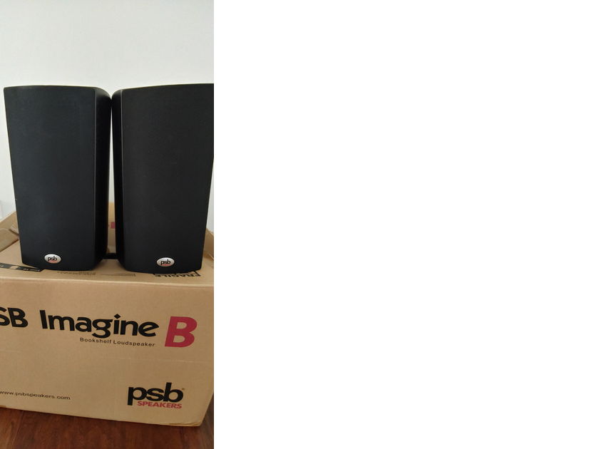 PSB Imagine B For Sale | Audiogon