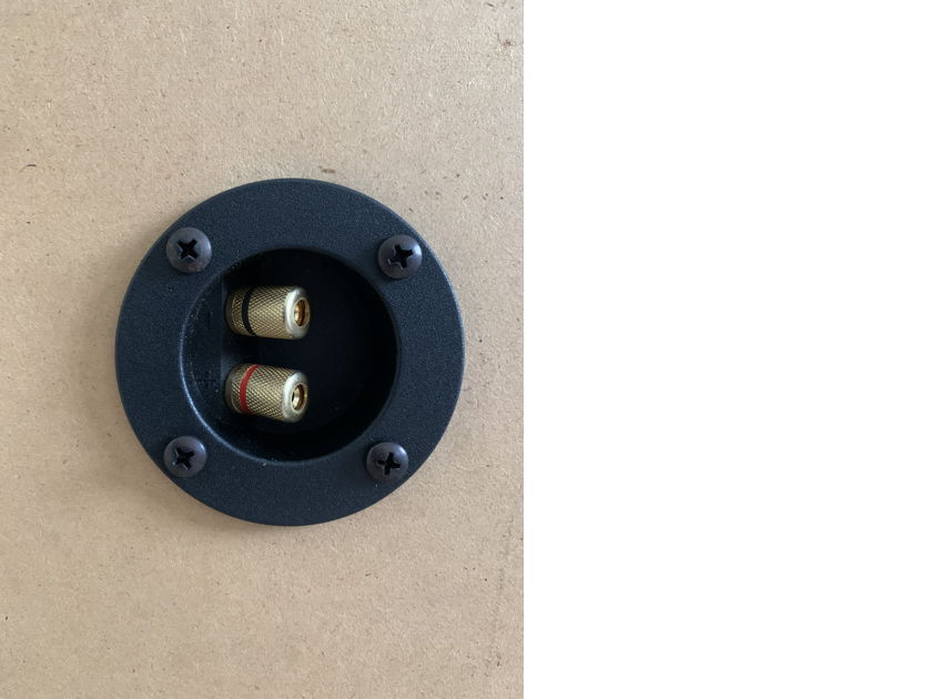 Shahinian Acoustics Hawk For Sale | Audiogon