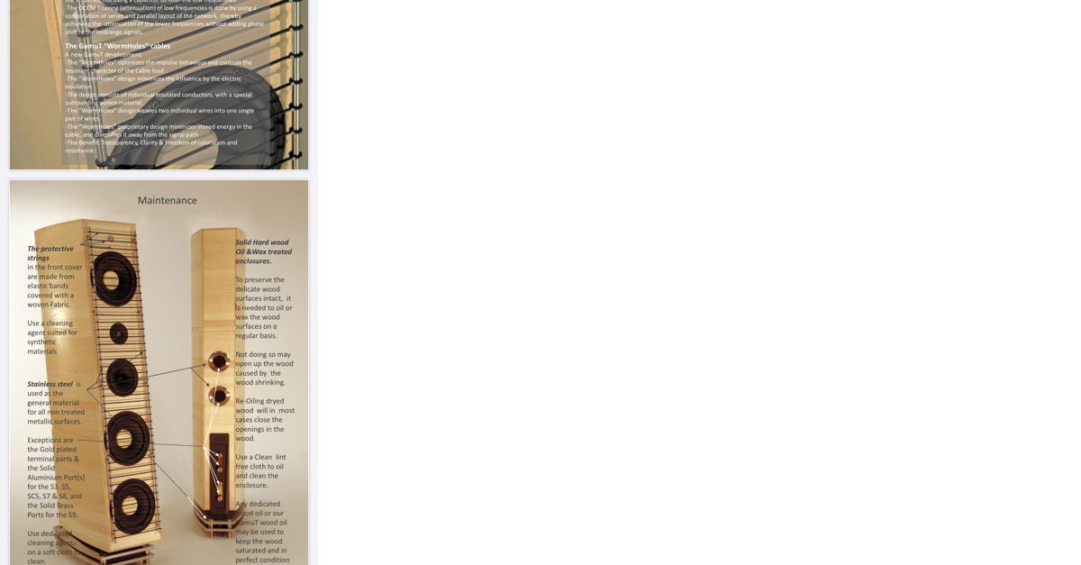 GamuT Audio RS9 For Sale | Audiogon