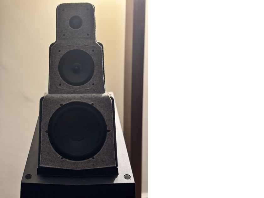 Vandersteen 5A Carbon For Sale | Audiogon