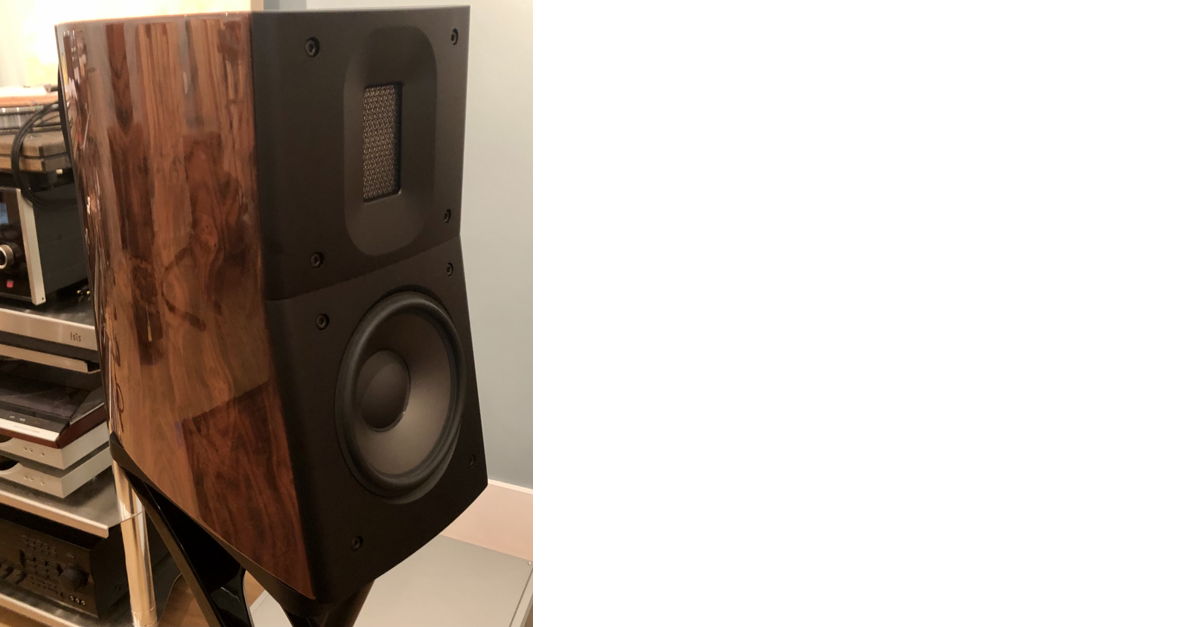 Raidho D1.1 - Rare Burl Walnut Finish For Sale | Audiogon