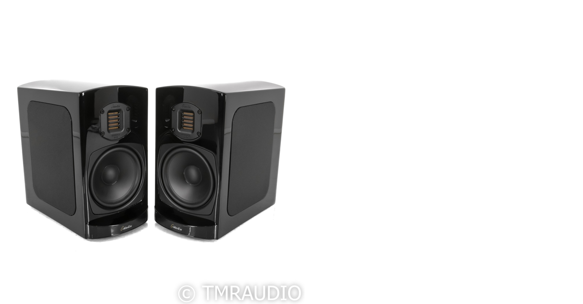 GoldenEar BRX Bookshelf Speakers; Referenc... For Sale | Audiogon