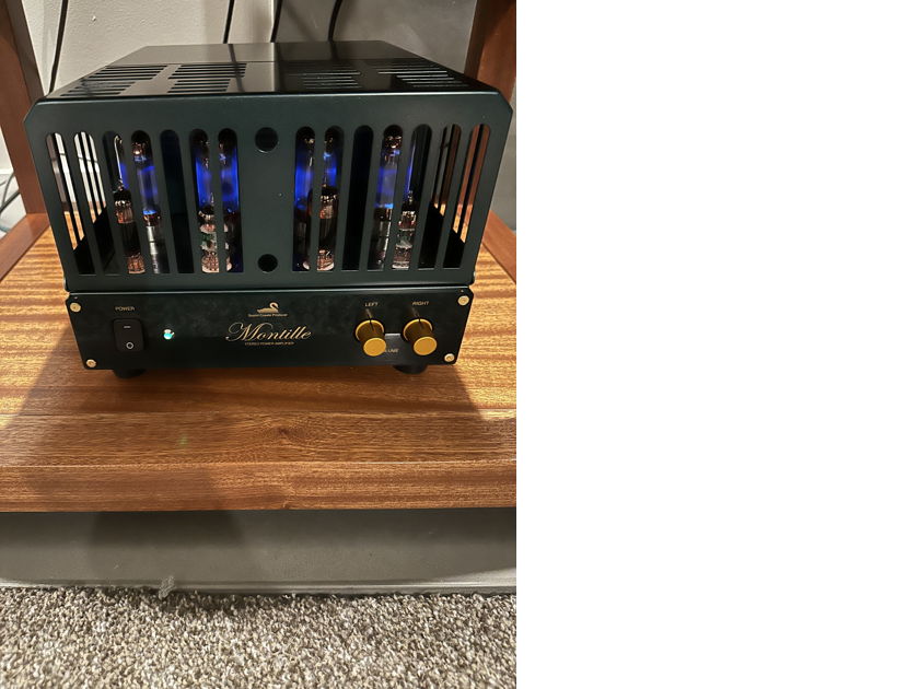 Shindo Labs Montille CV 391 Power-Amp For Sale | Audiogon