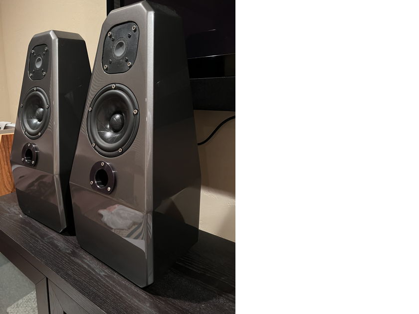 Wilson Audio Watch Surround Series 1 For Sale | Audiogon