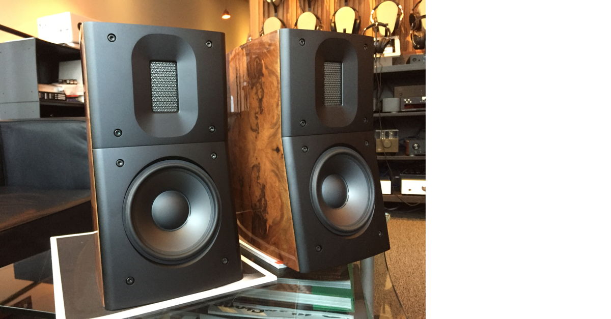 Raidho D1.1 For Sale | Audiogon