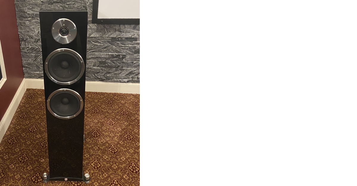 Gato Audio Fm6 For Sale | Audiogon