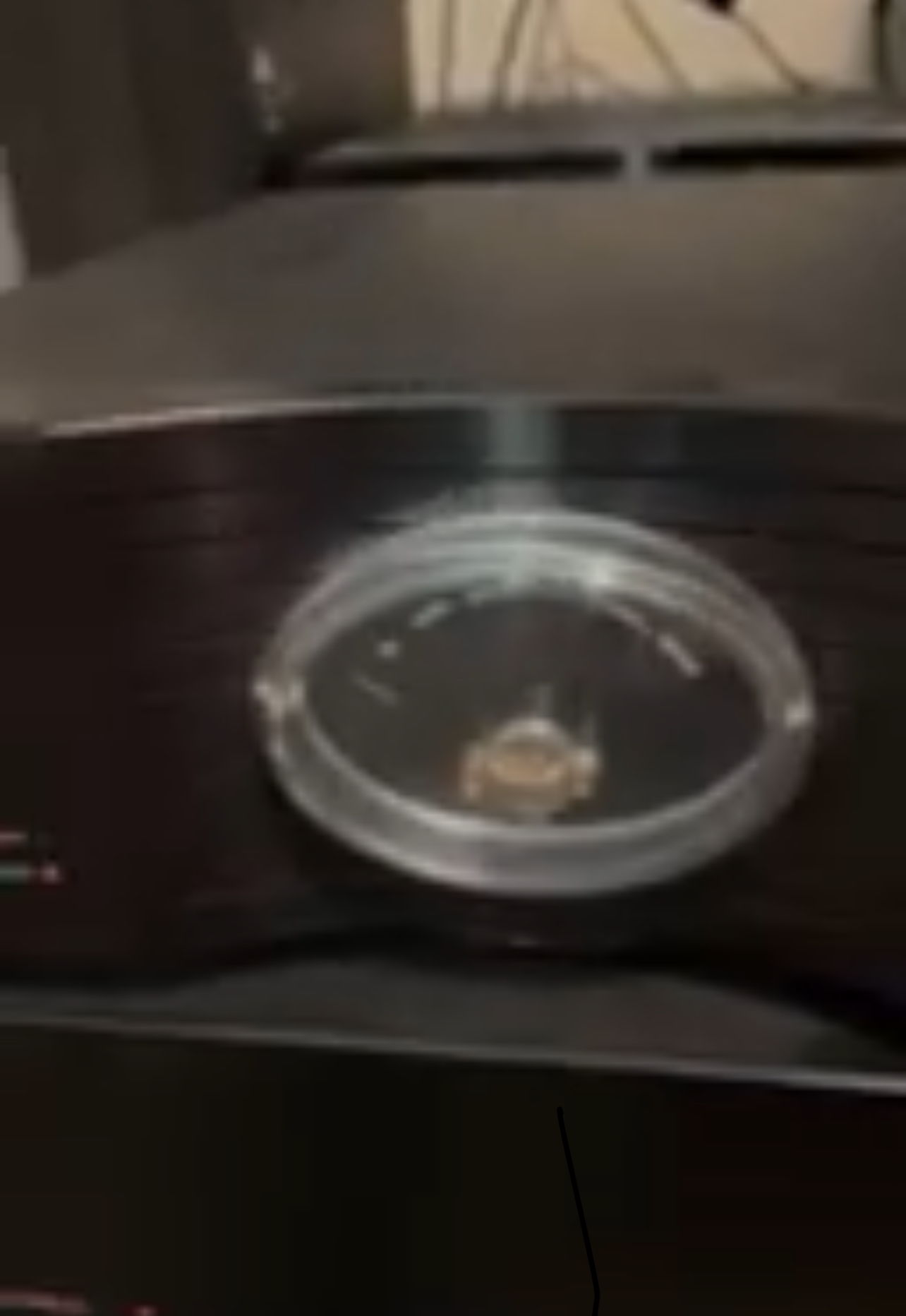 Krell Evolution One REDUCED! For Sale | Audiogon