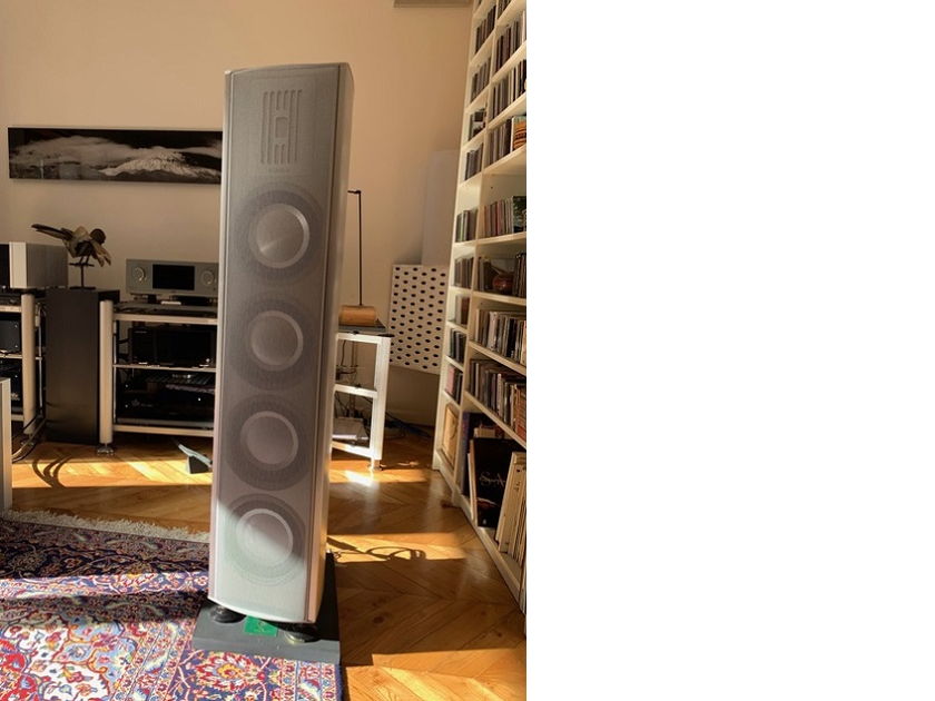 Piega C10 Limited For Sale | Audiogon