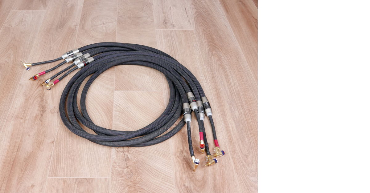 Fadel Art Coherence One Duo SC highend aud... For Sale | Audiogon