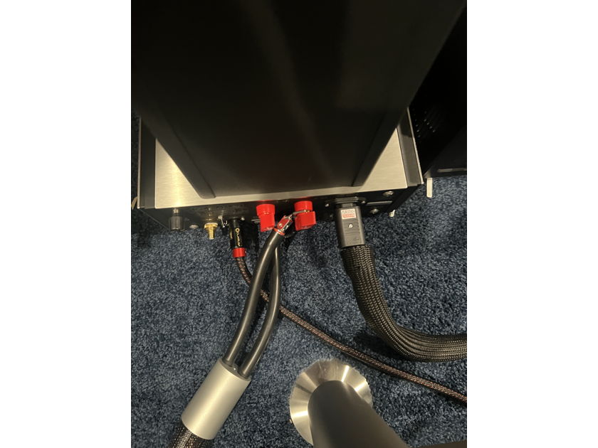 NAT SE1 HPS Mono Block For Sale | Audiogon