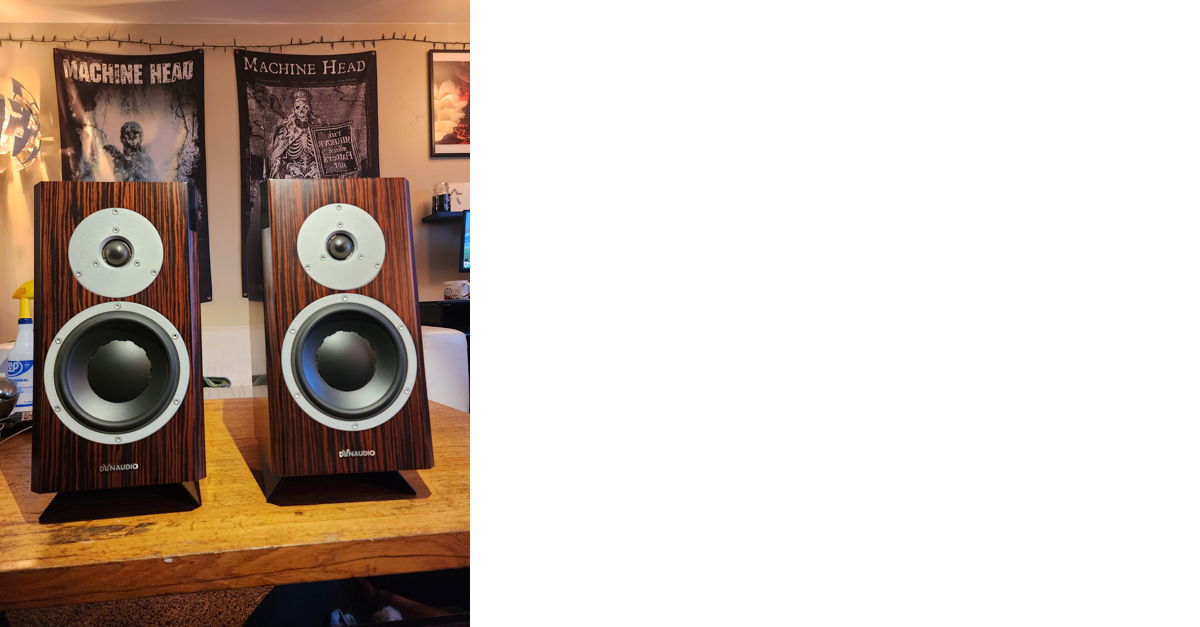 Dynaudio Focus 200 XD For Sale | Audiogon