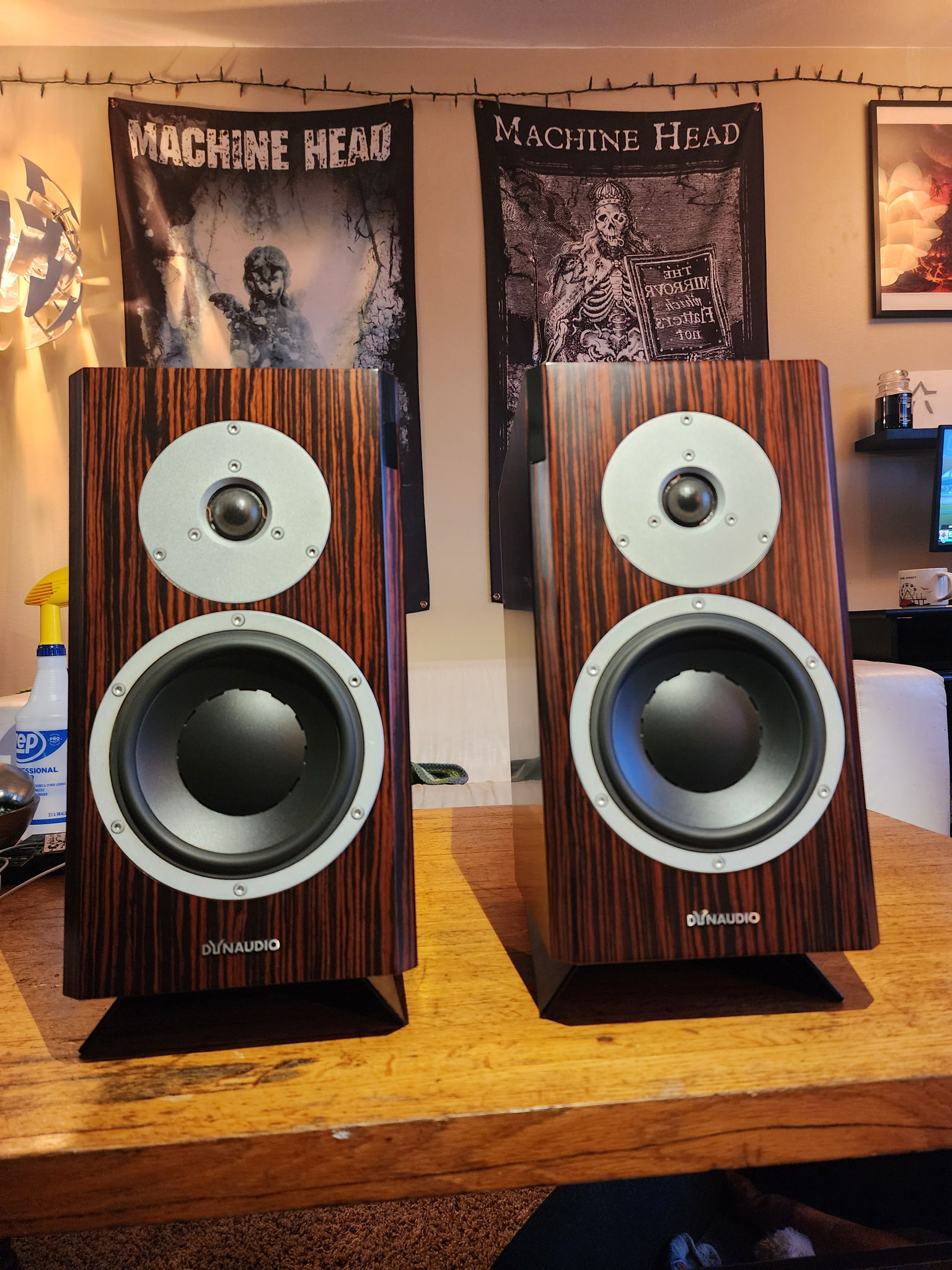 Dynaudio Focus 200 XD For Sale | Audiogon