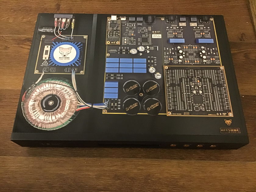 Holo Audio Spring DAC Level 3 "Kitsune Tun... For Sale | Audiogon