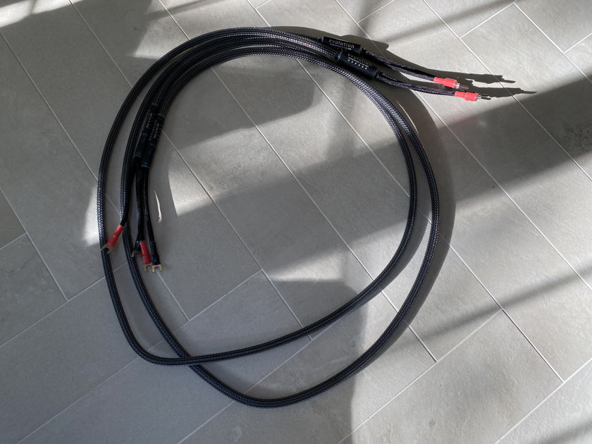 VooDoo Cable Evolution 8' (price reduced) For Sale | Audiogon