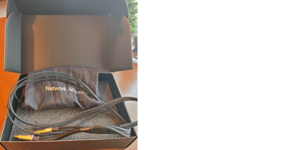 Network Acoustics Muon 2 USB Cable For Sale | Audiogon