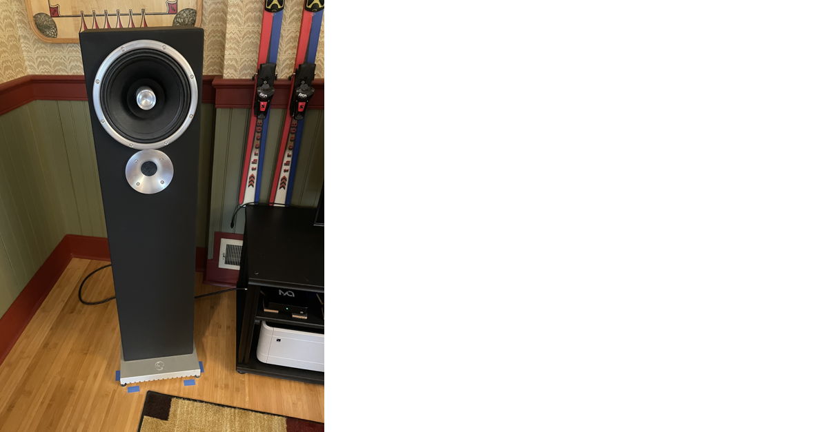 Zu Audio Druid MkV For Sale | Audiogon