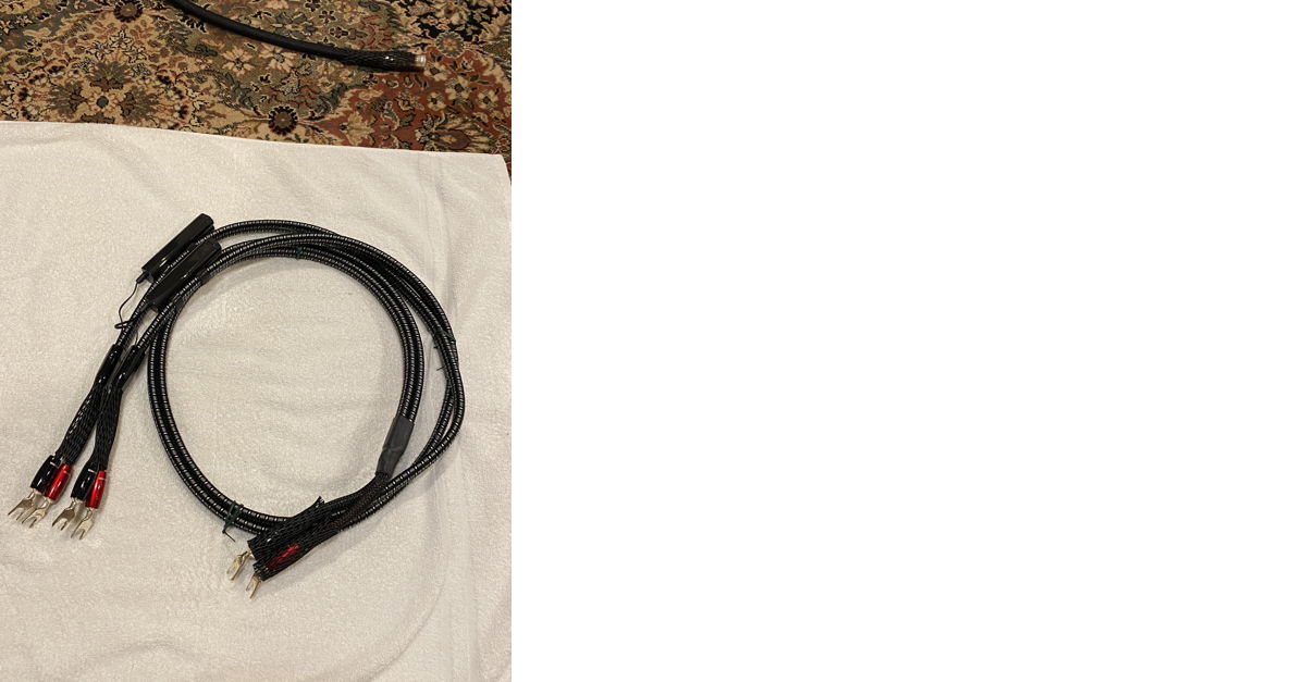 AudioQuest Comet BiWire Combo (DBW) For Sale | Audiogon