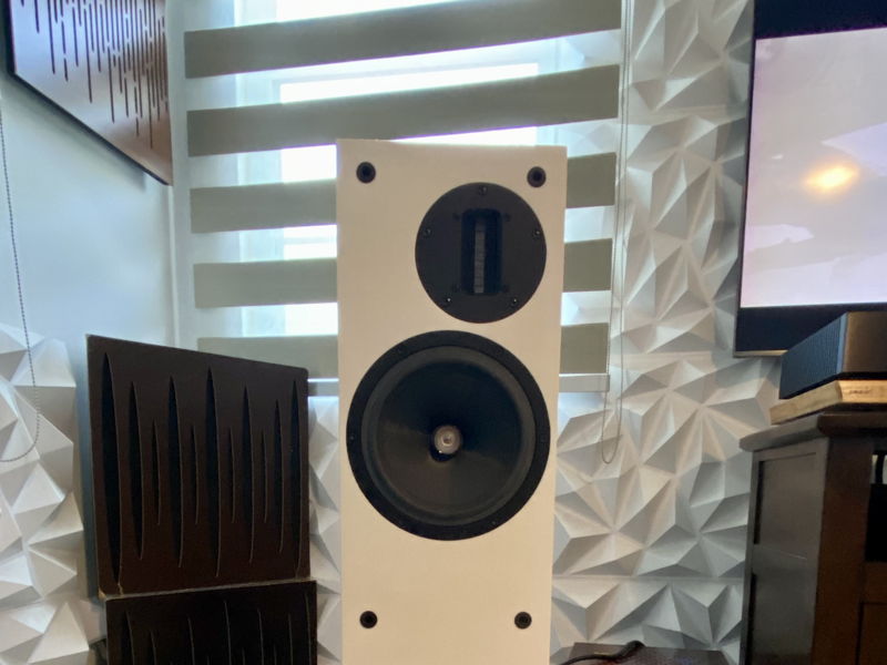 ProAc D20R Loudspeakers + Isoacoustics Gai... For Sale | Audiogon