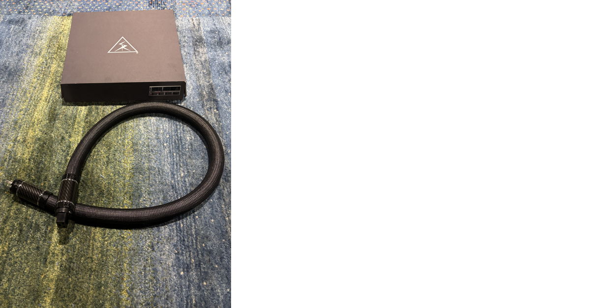 Shunyata Research Sigma V1 XC 20A 1.75m po... For Sale | Audiogon