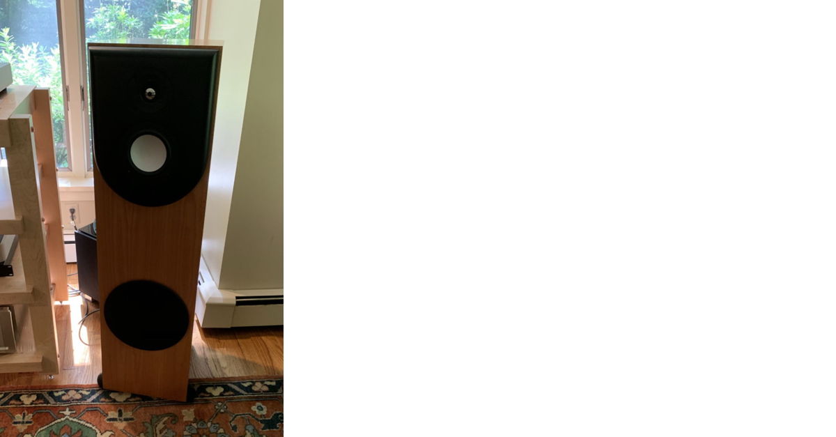 Revel Performa F30 For Sale | Audiogon