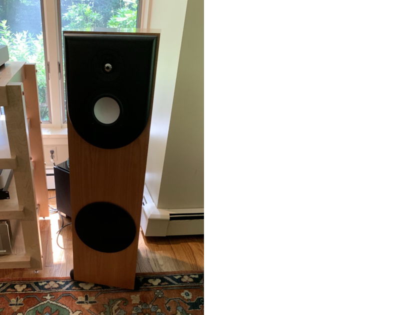 Revel Performa F30 For Sale | Audiogon