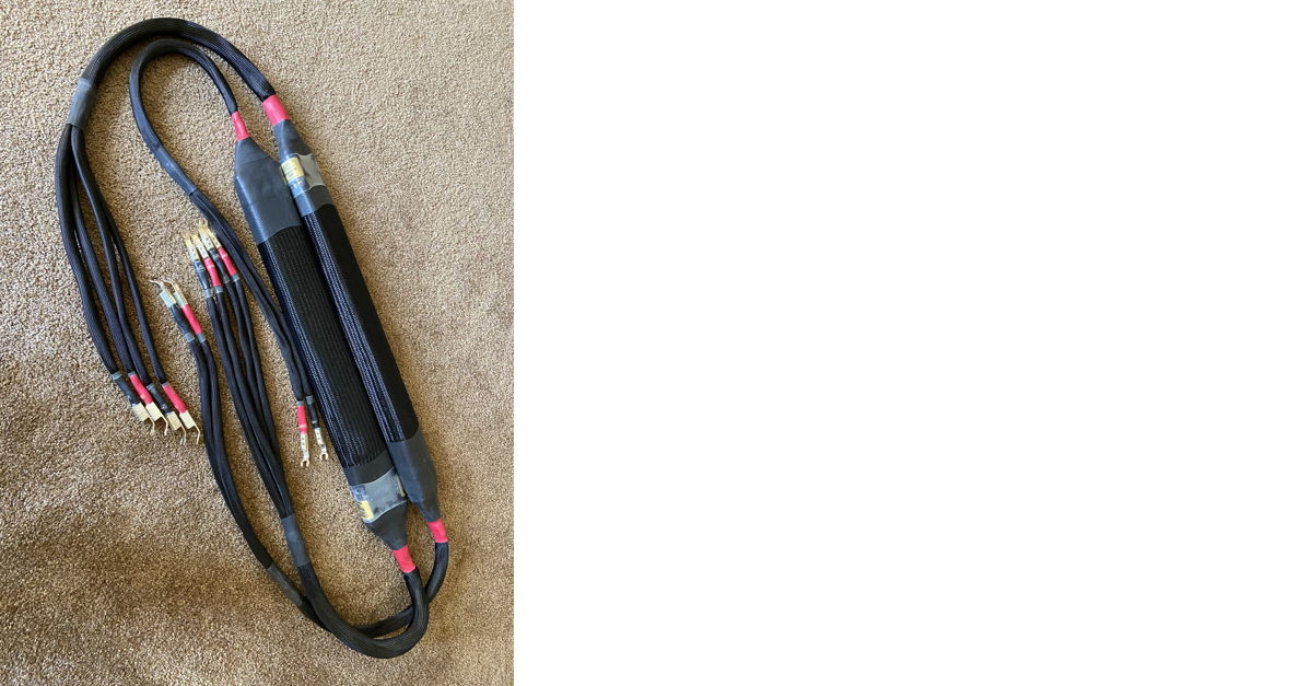 Elrod Power Systems Statement Gold, Master... For Sale | Audiogon