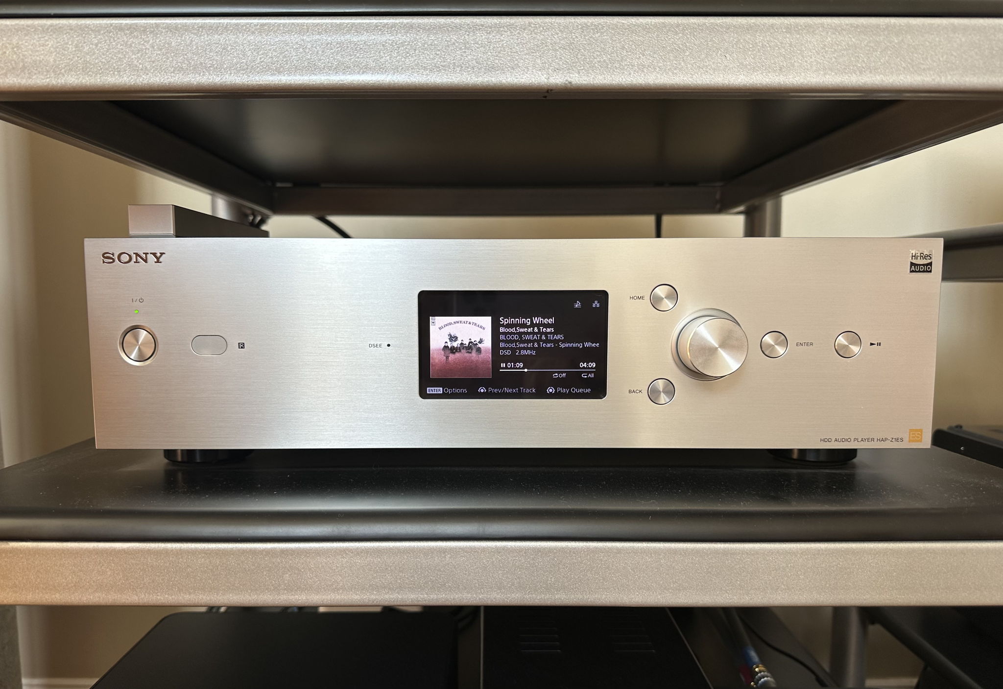 Sony HAP-Z1ES For Sale | Audiogon