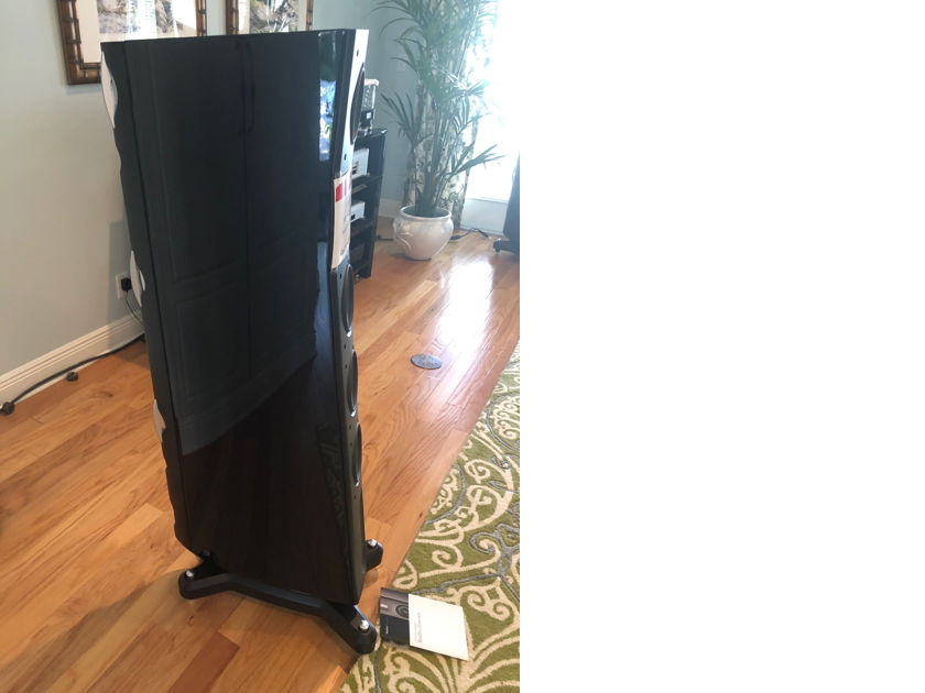 Raidho D3.1 For Sale | Audiogon