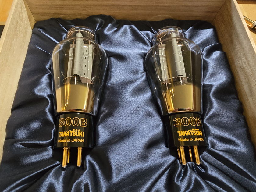 Takatsuki TA-300B For Sale | Audiogon