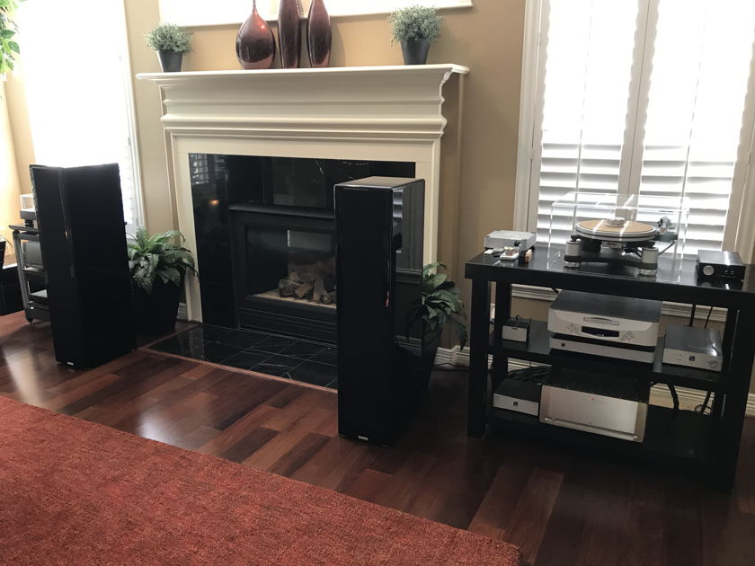 Piega P-10 in Grand Piano Black For Sale | Audiogon