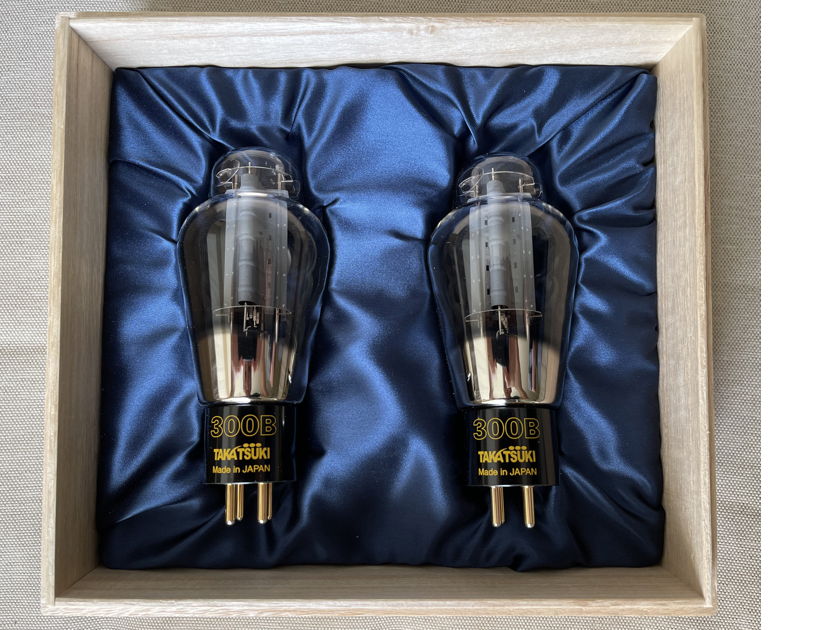 Takatsuki TA-300B Vacuum Tubes (matched pair) For Sale | Audiogon