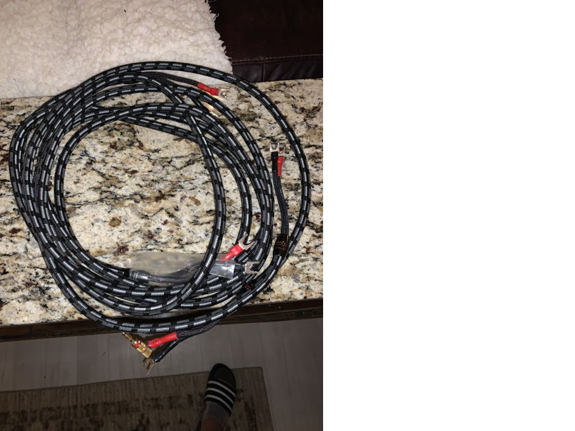 AudioQuest Type 6 speaker Cable For Sale | Audiogon