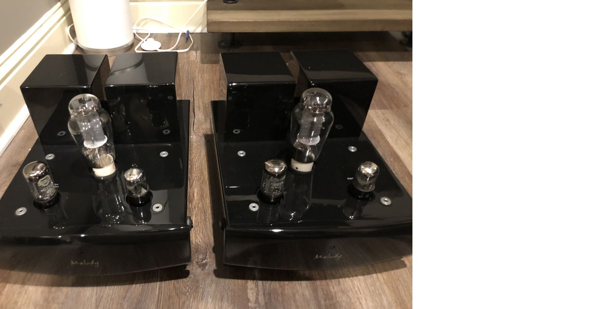 Melody Valve Hifi Dark Power 300B Monoblocks For Sale | Audiogon