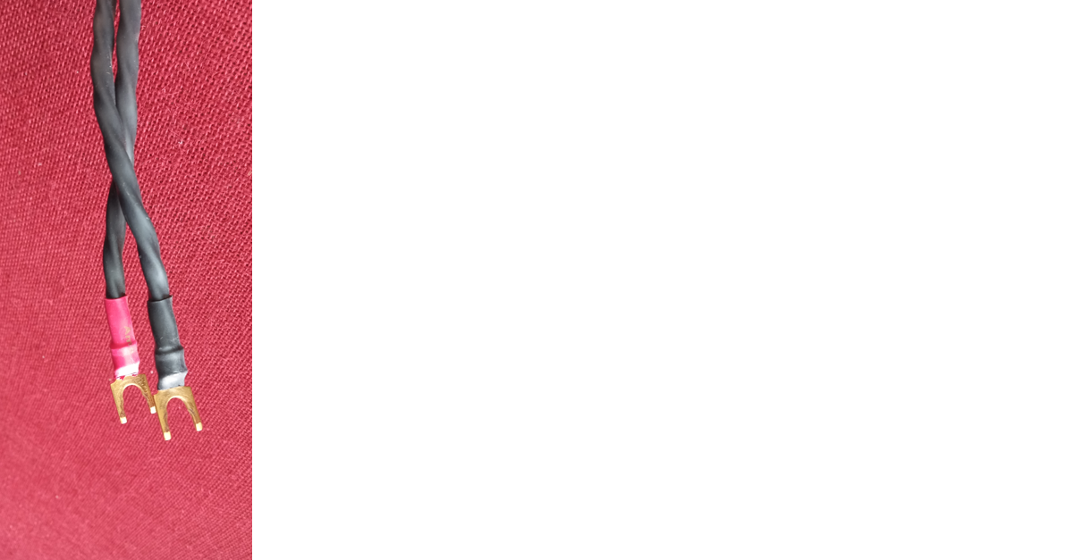 AudioQuest Type 5 speaker cables - 10 ft For Sale | Audiogon