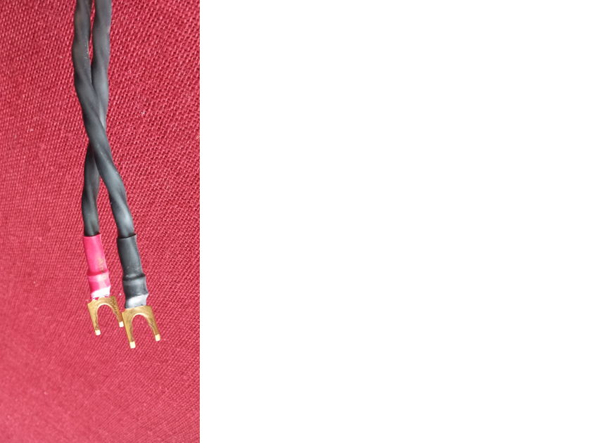 AudioQuest Type 5 speaker cables - 10 ft For Sale | Audiogon