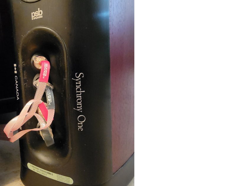 PSB Speakers Synchrony One For Sale | Audiogon