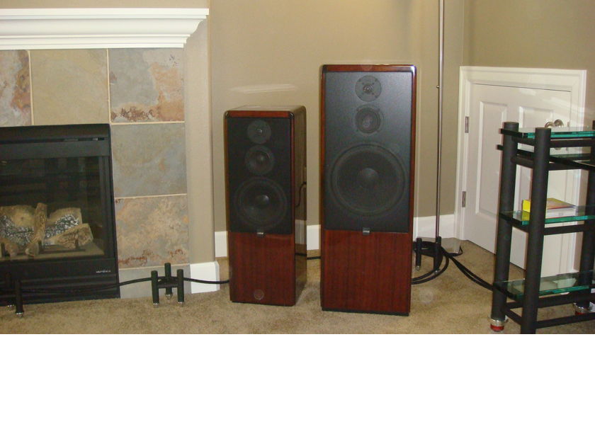 CANTON CT-80, GLOSS MAHOGANY, EXCELLENT C... For Sale | Audiogon