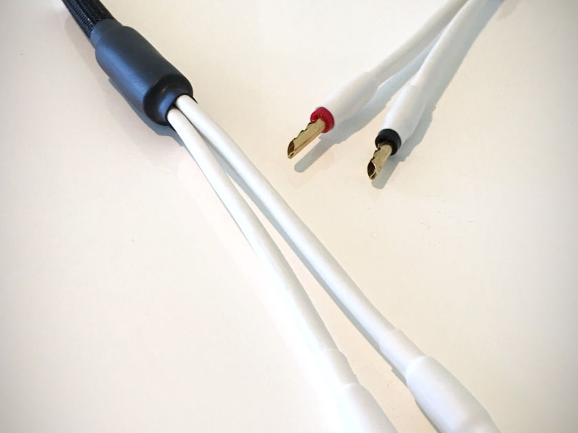 Wisdom Cable Technology Diamond Series XS (6FT pair spade or banana ...