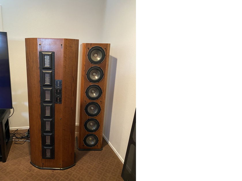 Infinity RS-1b For Sale | Audiogon