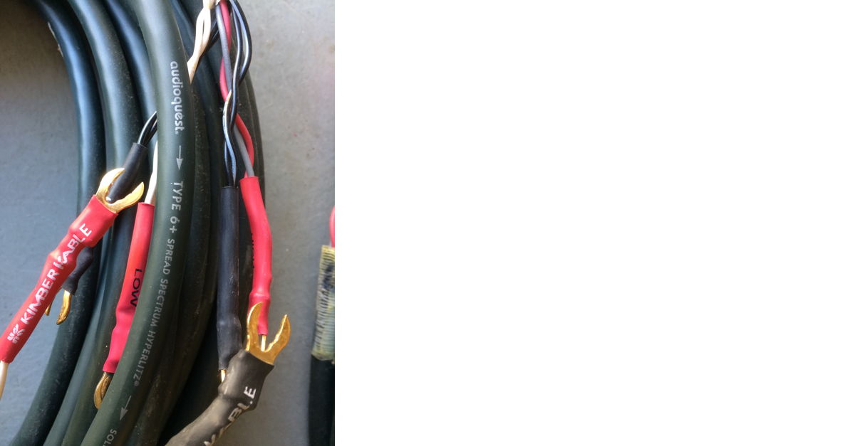 AudioQuest Type 6+ Speaker Cable For Sale | Audiogon